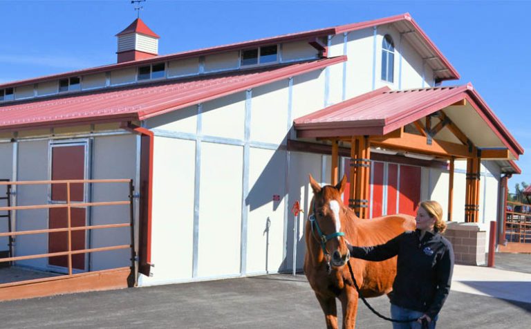 Custom Barns and Professional Equestrian Facilitites | MDBarnmaster.com